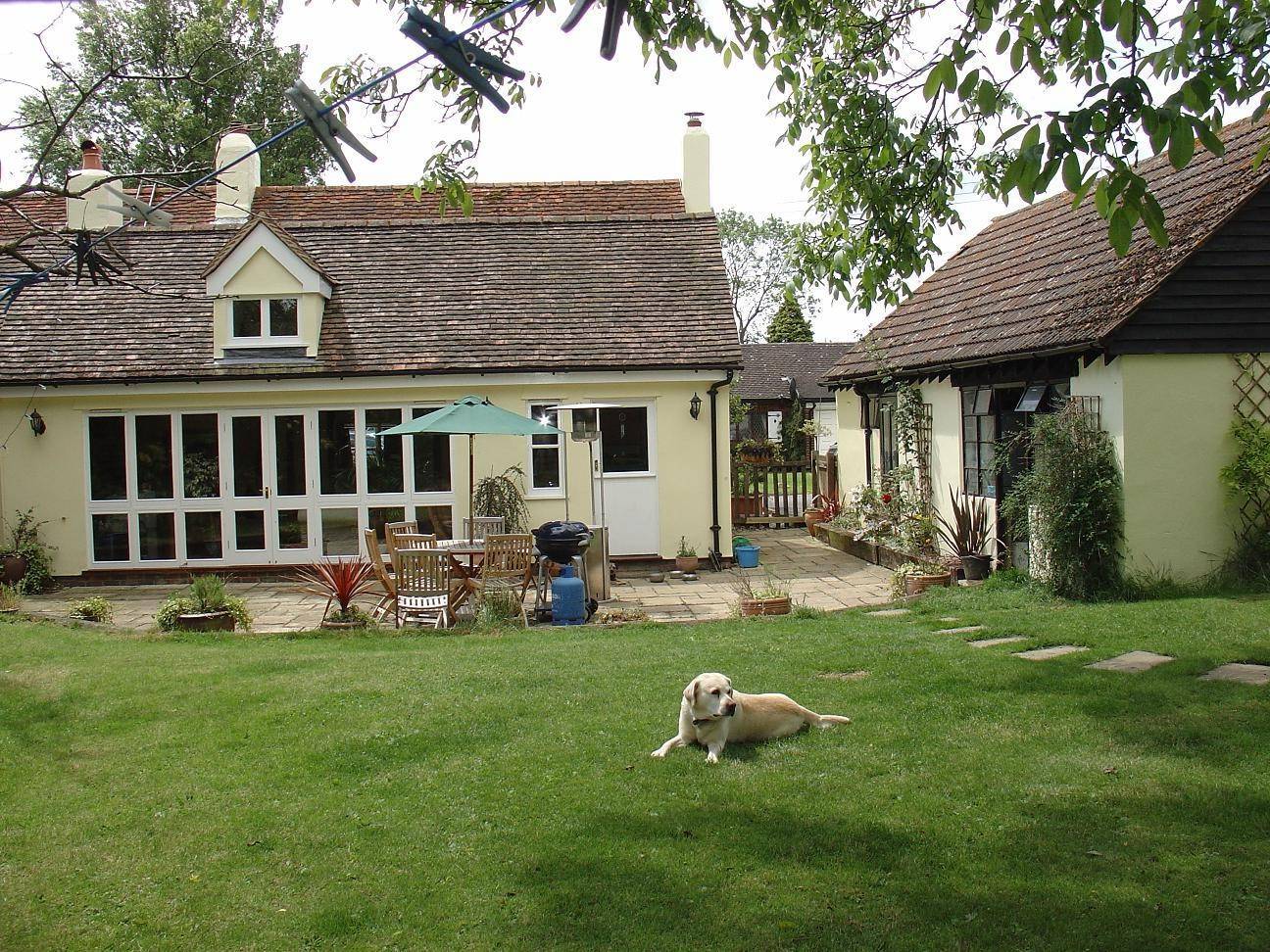 dog-home-boarding-the-trusted-alternative-to-boarding-kennels-in
